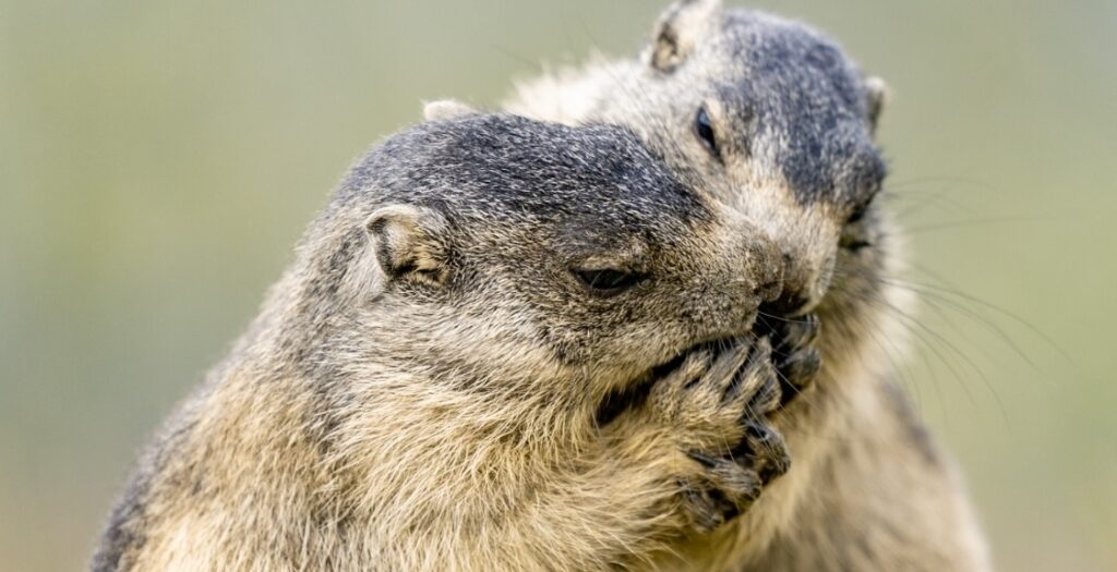 Ontspan actief in Oostenrijk