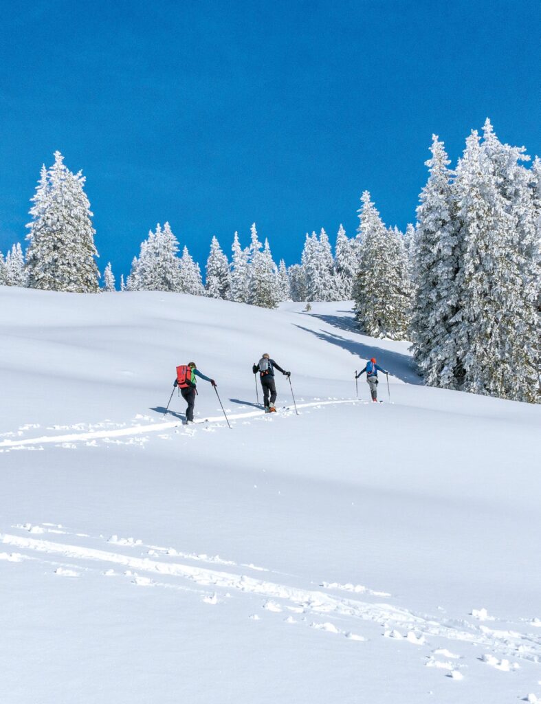 SNOW explorer 2022-2