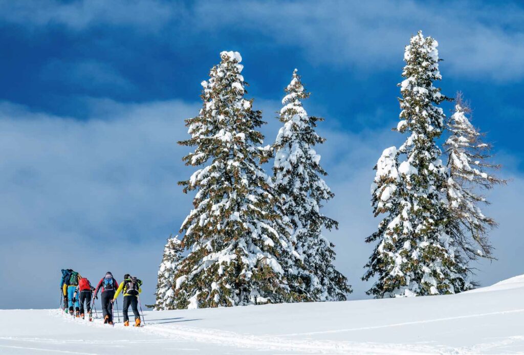 SNOW explorer 2023-2024-2